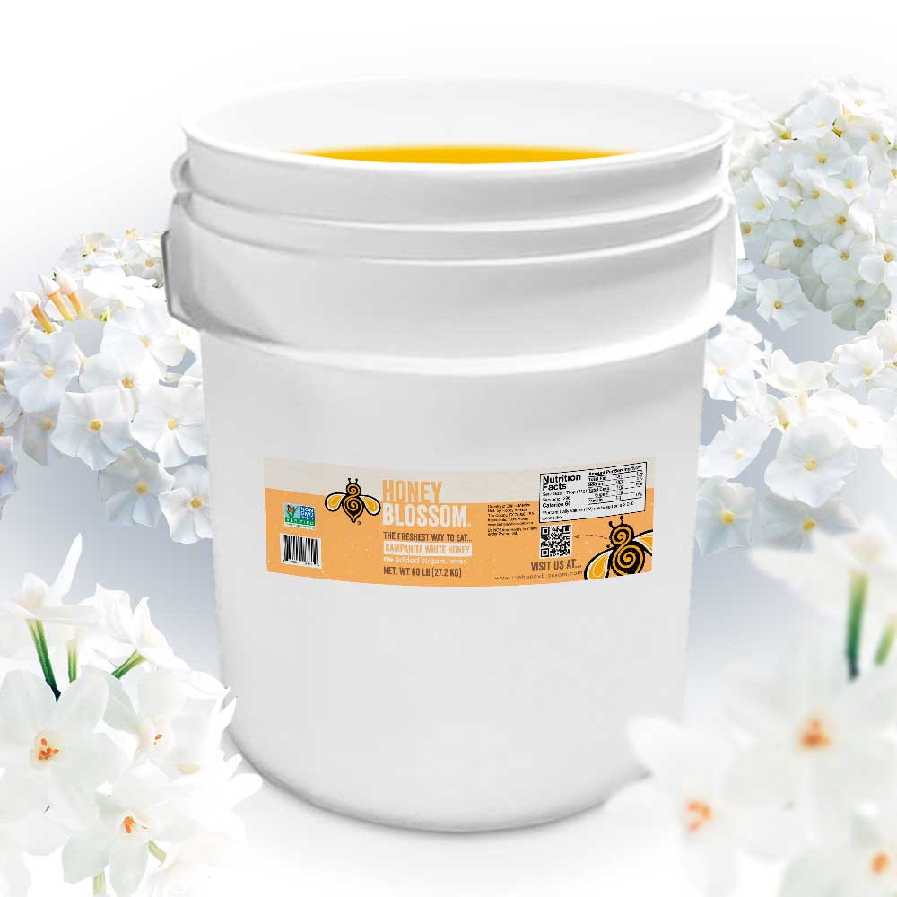 Honey Blossom - Campanita White Honey - 60 lb Bucket – Honey Blossom USA