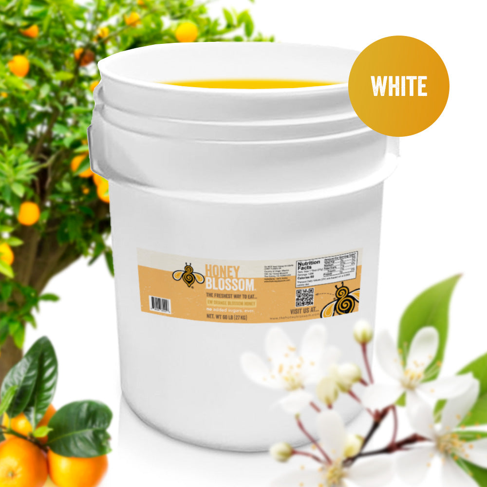 Orange Blossom Honey (White) 60-lb Bucket – Bulk Wholesale Supply ...
